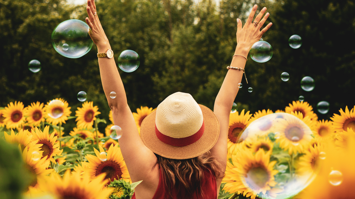 Celebrating National Sunflower Day – Orchid Republic Floral Boutique