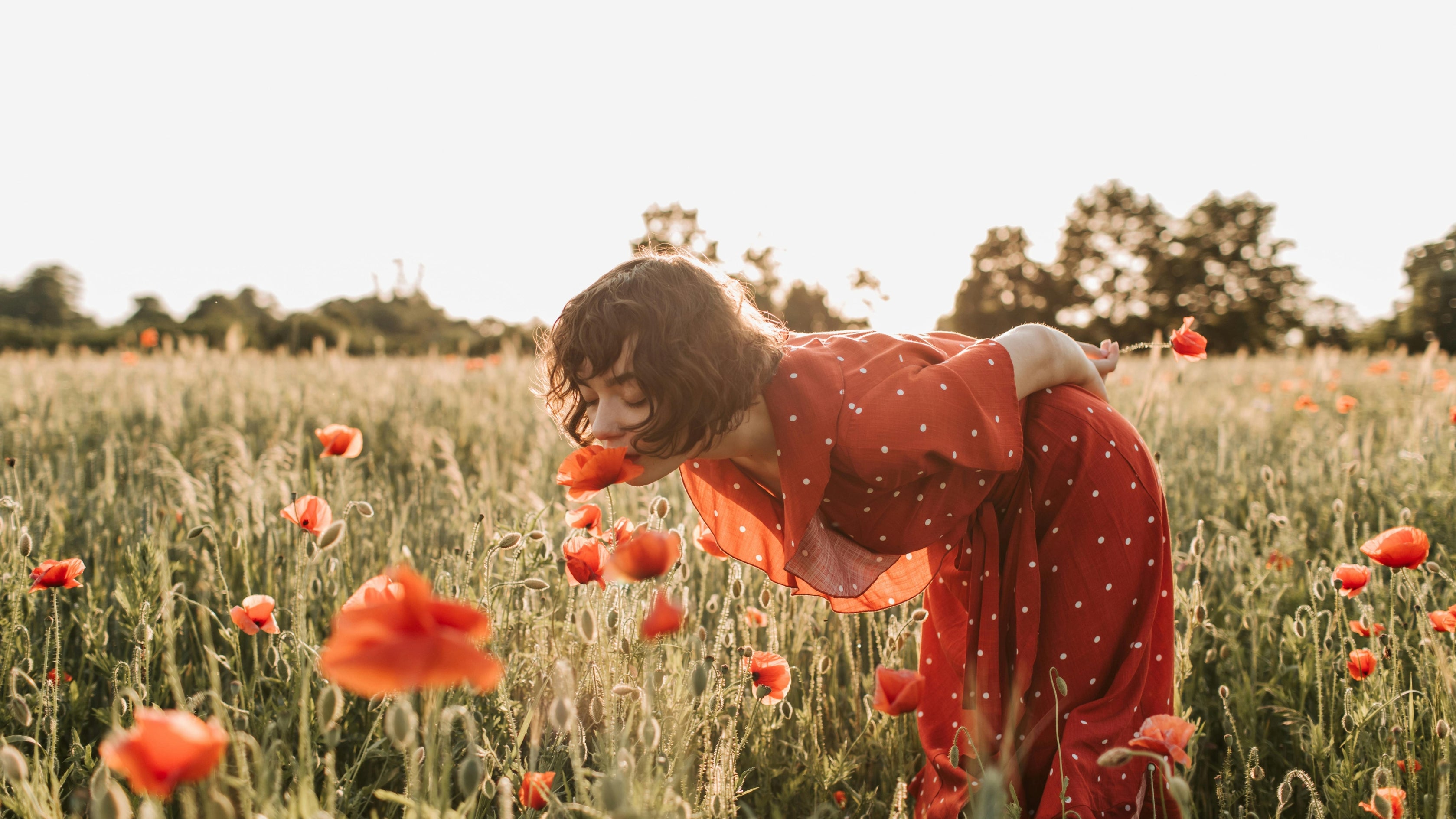 7 Flowers That Represent New Beginnings – Orchid Republic Floral Boutique