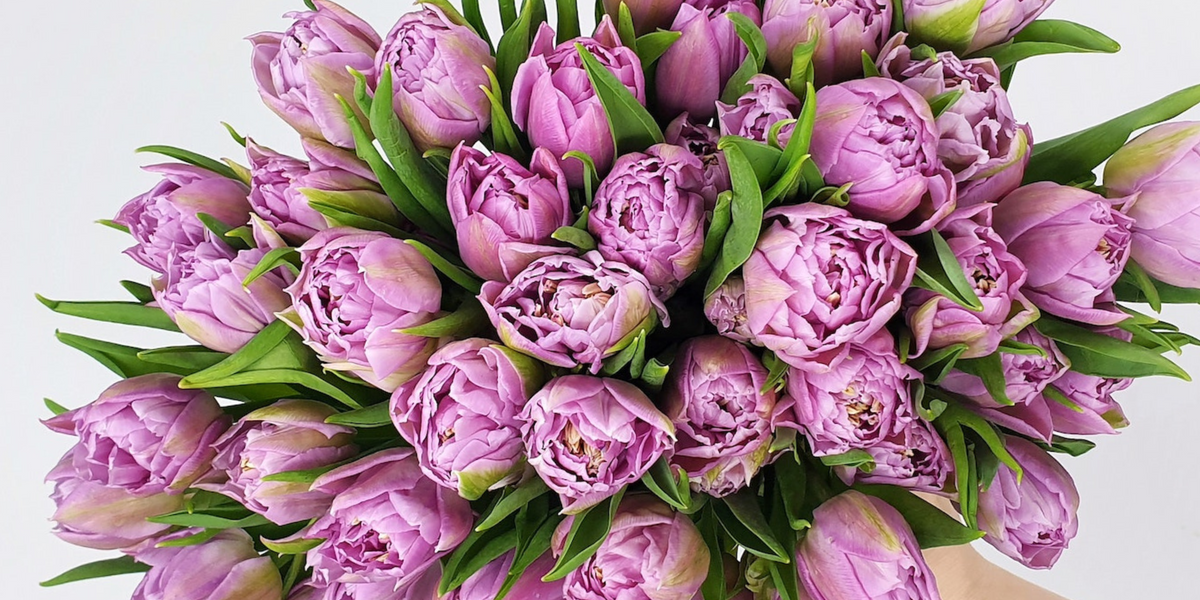 What Is Floriography? Decoding the Language of Flowers – Orchid ...