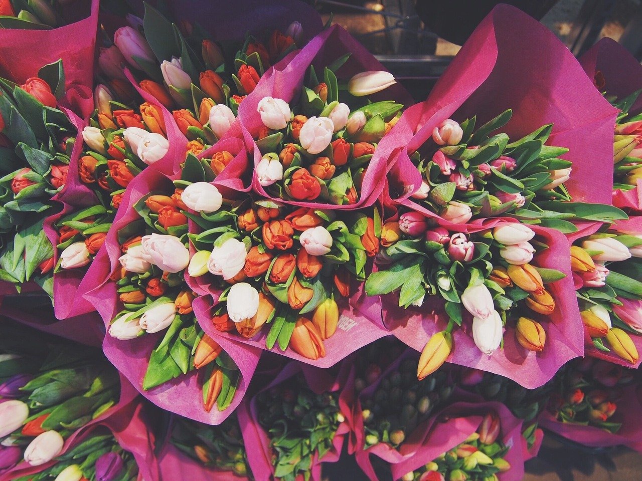 Fresh Spring Flowers to Watch Out for This March – Orchid Republic ...