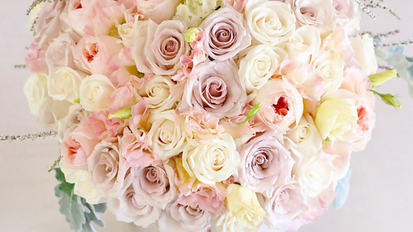 Here Are the Most Instagrammable Flowers This Summer - Orchid Republic