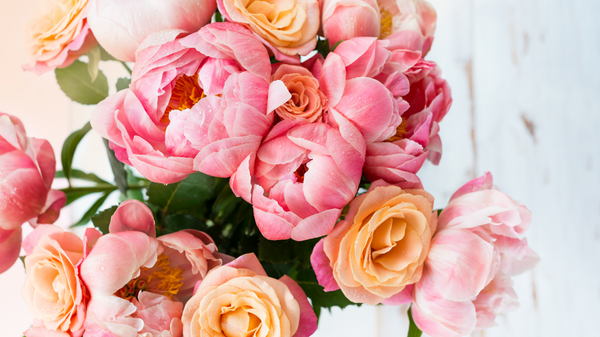 5 Mesmerizing Flowers That Bloom in May - Orchid Republic