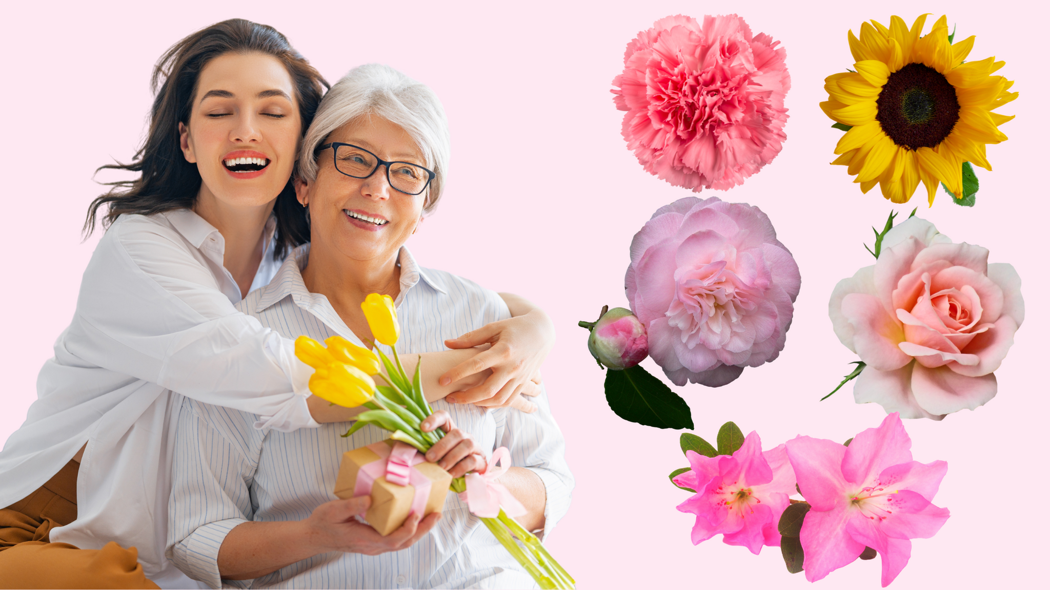 Beautiful Flower Meanings to Inspire Your Mother's Day Bouquet – Orchid ...