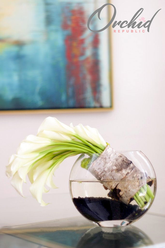Order Calla Lily Flowers Online - Same-Day Delivery – Orchid Republic ...