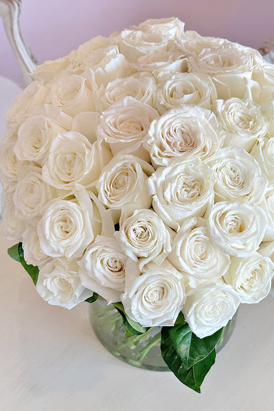 Monarch White Roses - Delivery