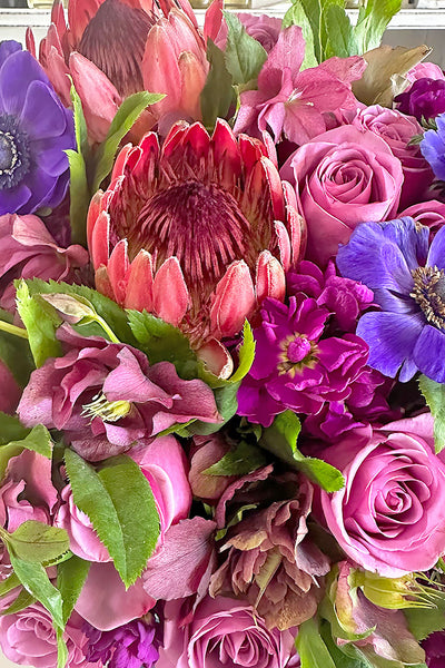 Enchanted Night - Delivery