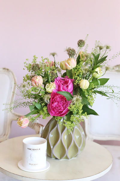 Buy Housewarming Flowers - Same-Day Delivery - Orchid Republic