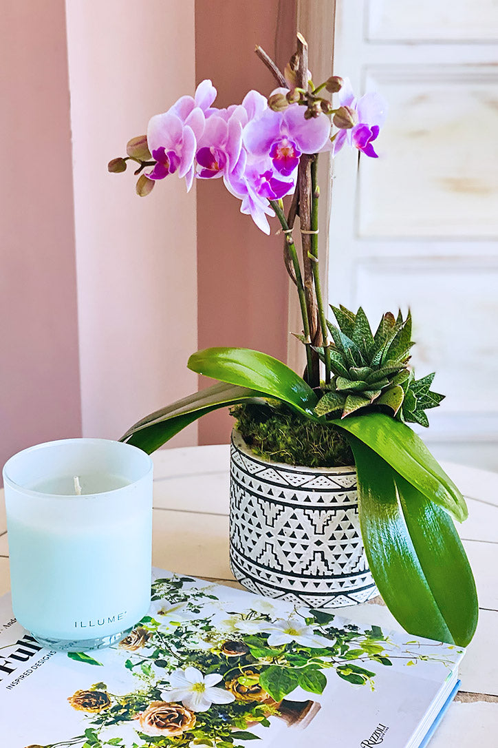 Bohemian Muse – Orchid Republic Floral Boutique