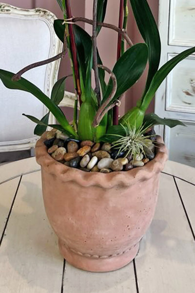 Garnet Grace - Delivery