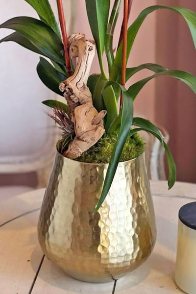 Scarlet Majesty - Delivery