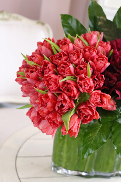 Sweet Splendor - Delivery