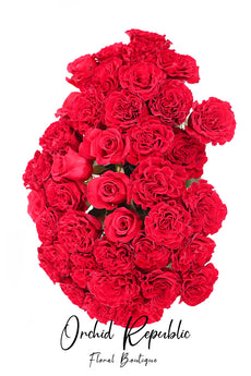 Always Roses - Delivery