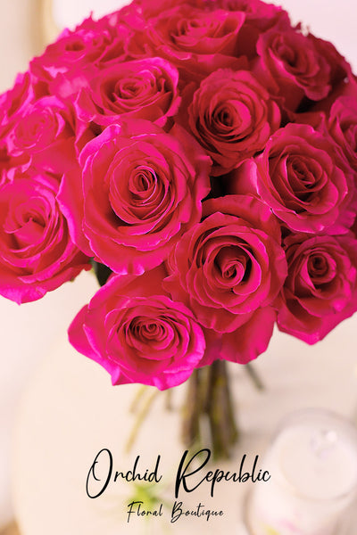 HOT PINK ROSES - Delivery