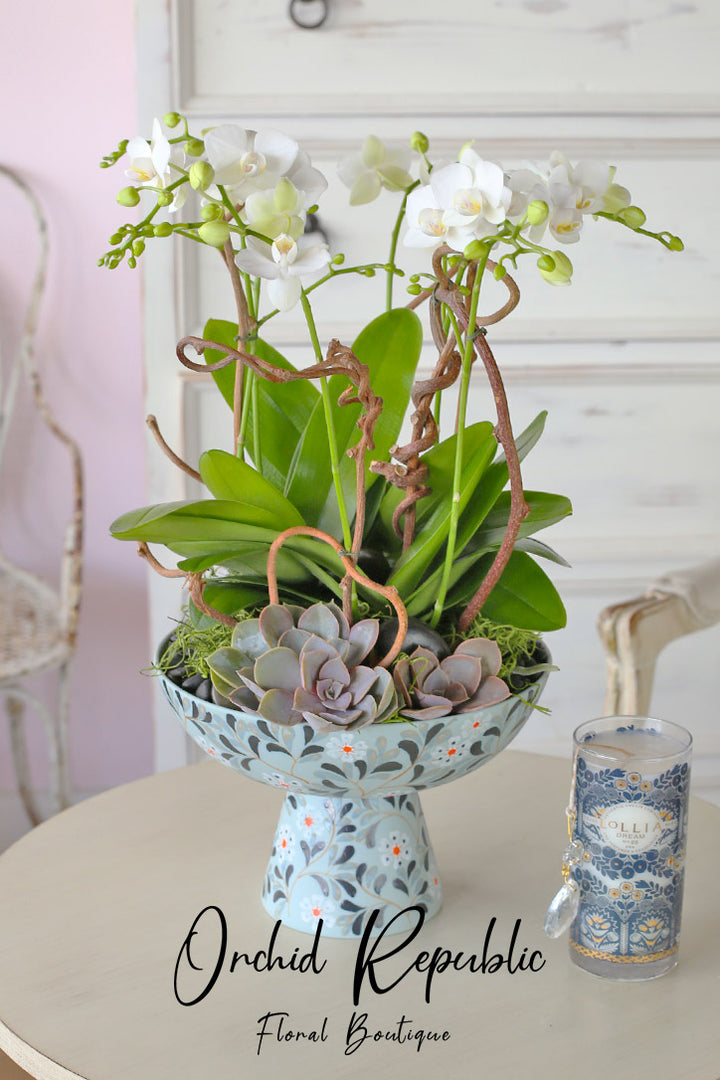 Order Orchid Plant Arrangements Online - Same-Day Delivery – Orchid ...