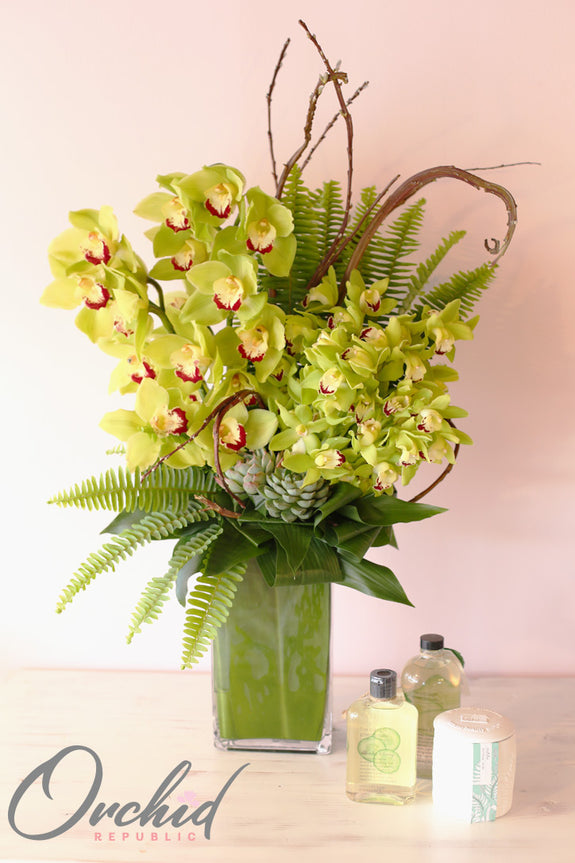 Palos Verdes Garden - Delivery