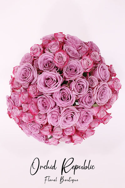 PURPLE ROSES - Delivery