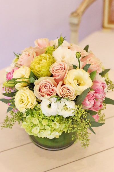 Spring Promise - Delivery