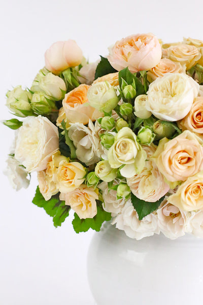 Trinity Roses - Delivery