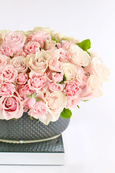 Pink Ardor Roses - Delivery