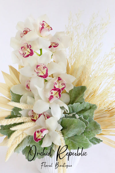 Vanilla Queen - Delivery