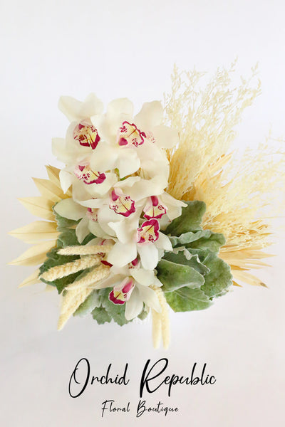 Vanilla Queen - Delivery