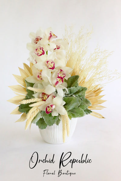 Vanilla Queen - Delivery