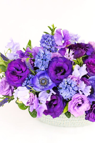 Violet Vibes - Delivery